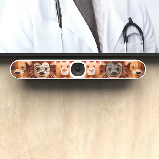 Camera Mounts | ADA Compliant Cam Holder | Heckler