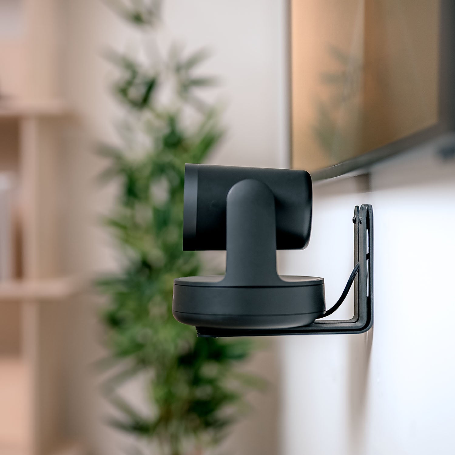 PTZ Camera Mount | Professional Wall Enclosure | Heckler